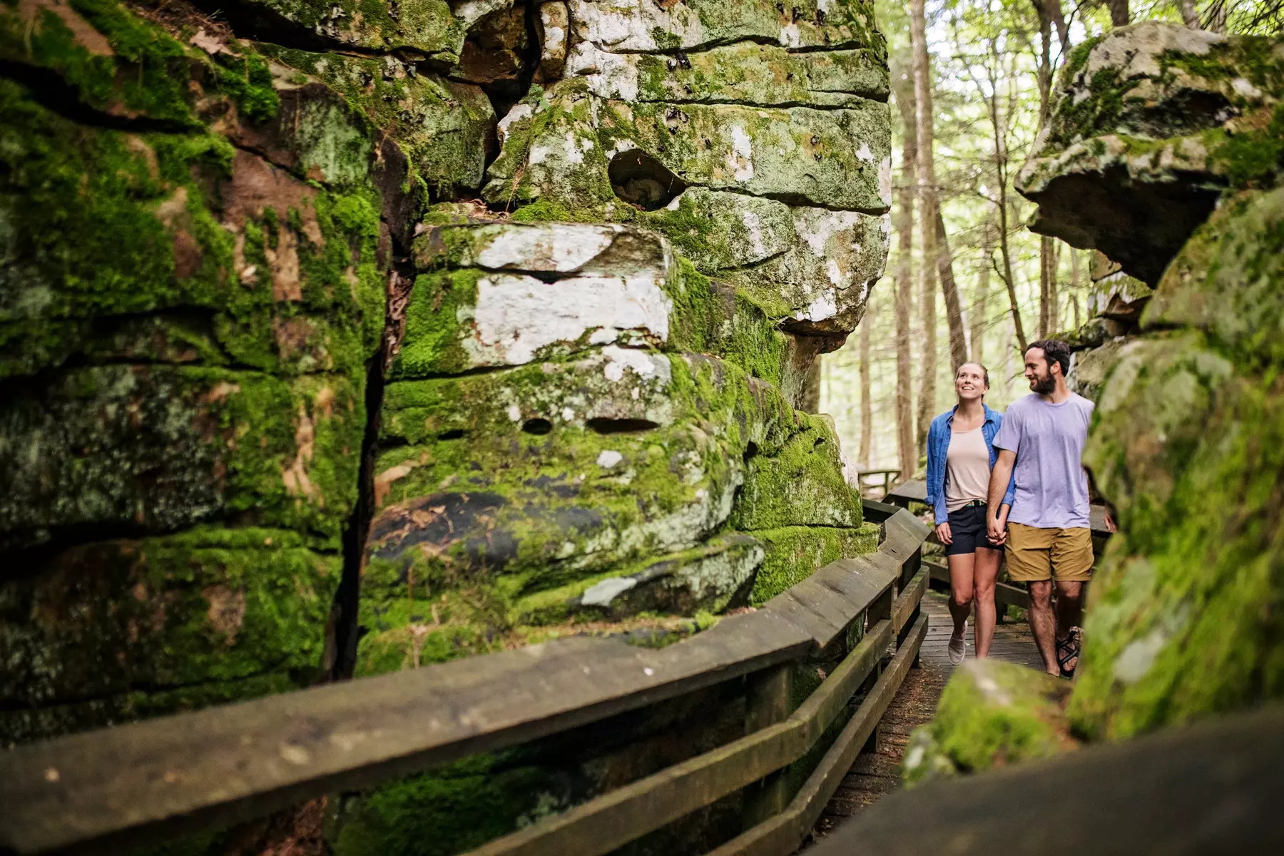 Mga hiking trail sa West Virginia