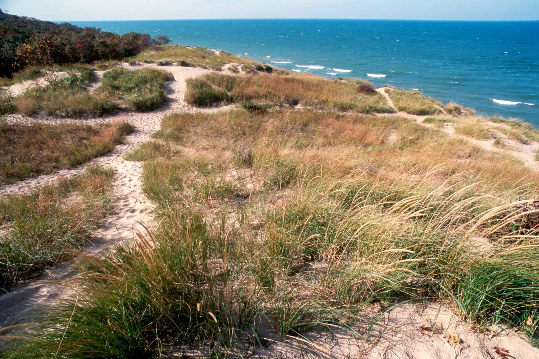 Indiana Dunes National Lakeshore บนทะเลสาบมิชิแกน