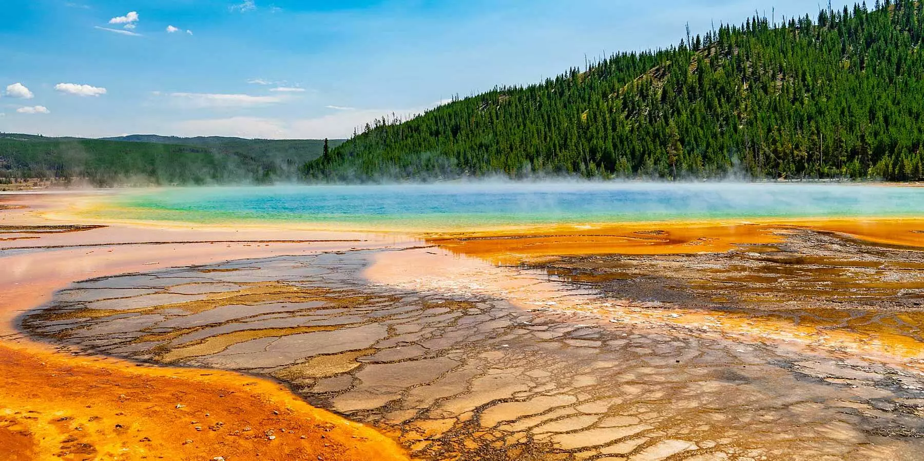 18 Fakta Taman Nasional Yellowstone Sing Bakal Ngagetake Sampeyan