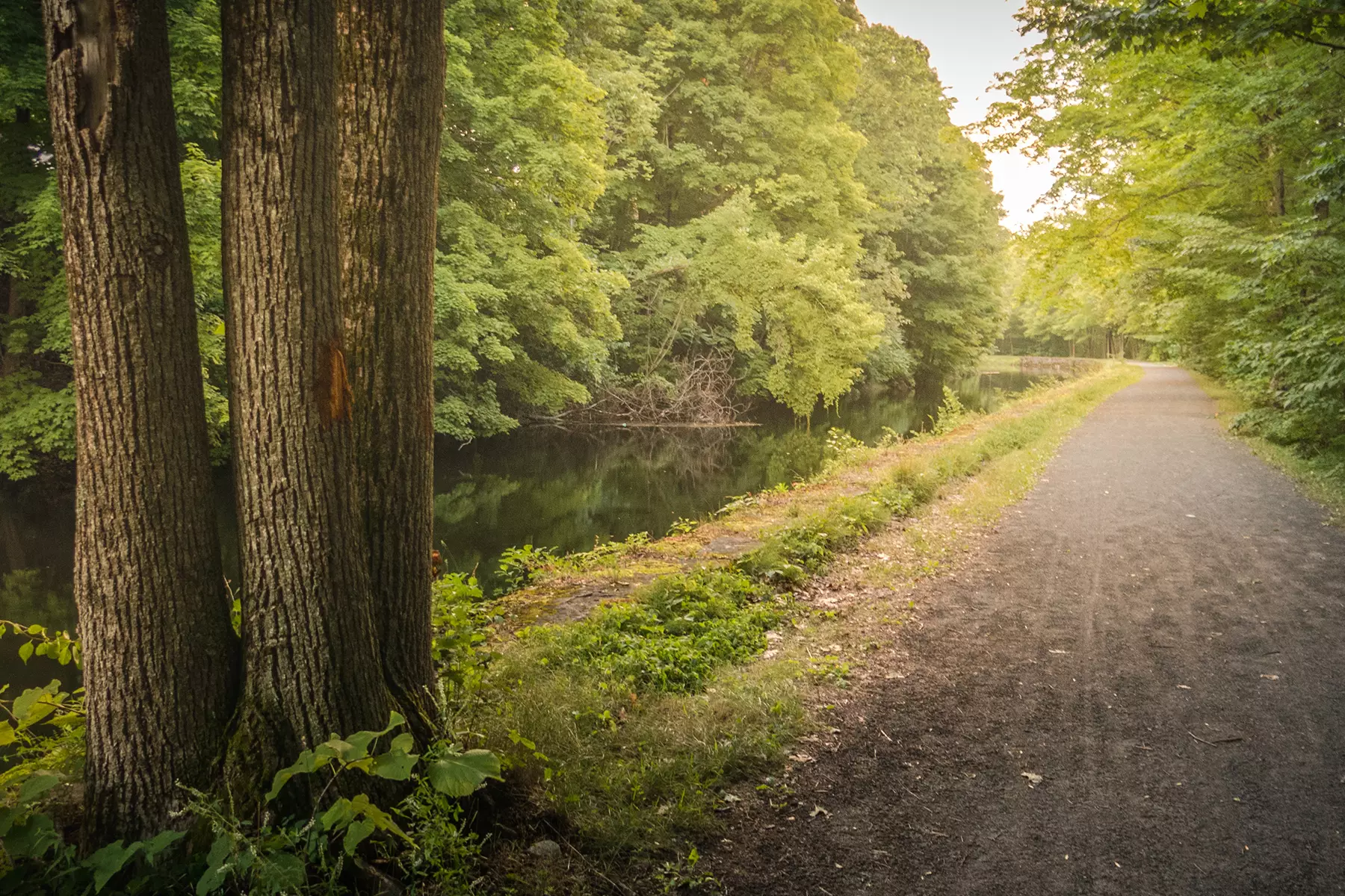 Ścieżka rowerowa natury wzdłuż kanału, Glens Falls, Adirondacks, stan Nowy Jork