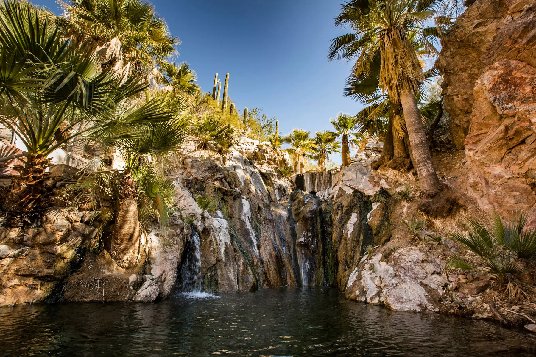 Wasserfall mit Palmen