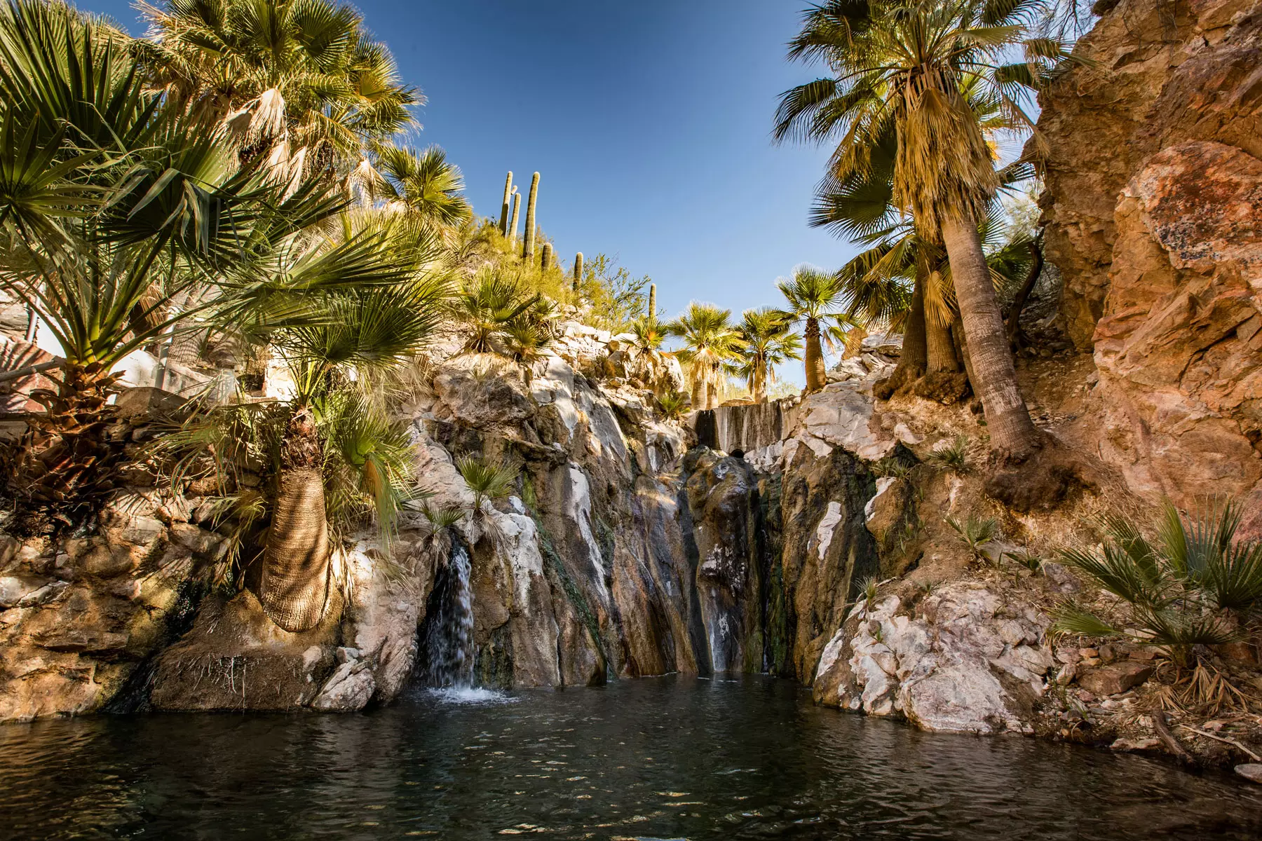 Waterfall nePalm Trees