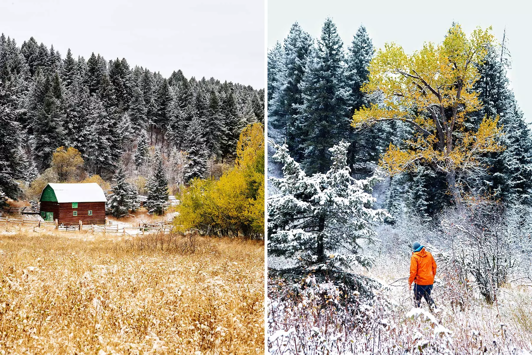 Zwei verschneite Trail-Szenen in Bozeman, Montana