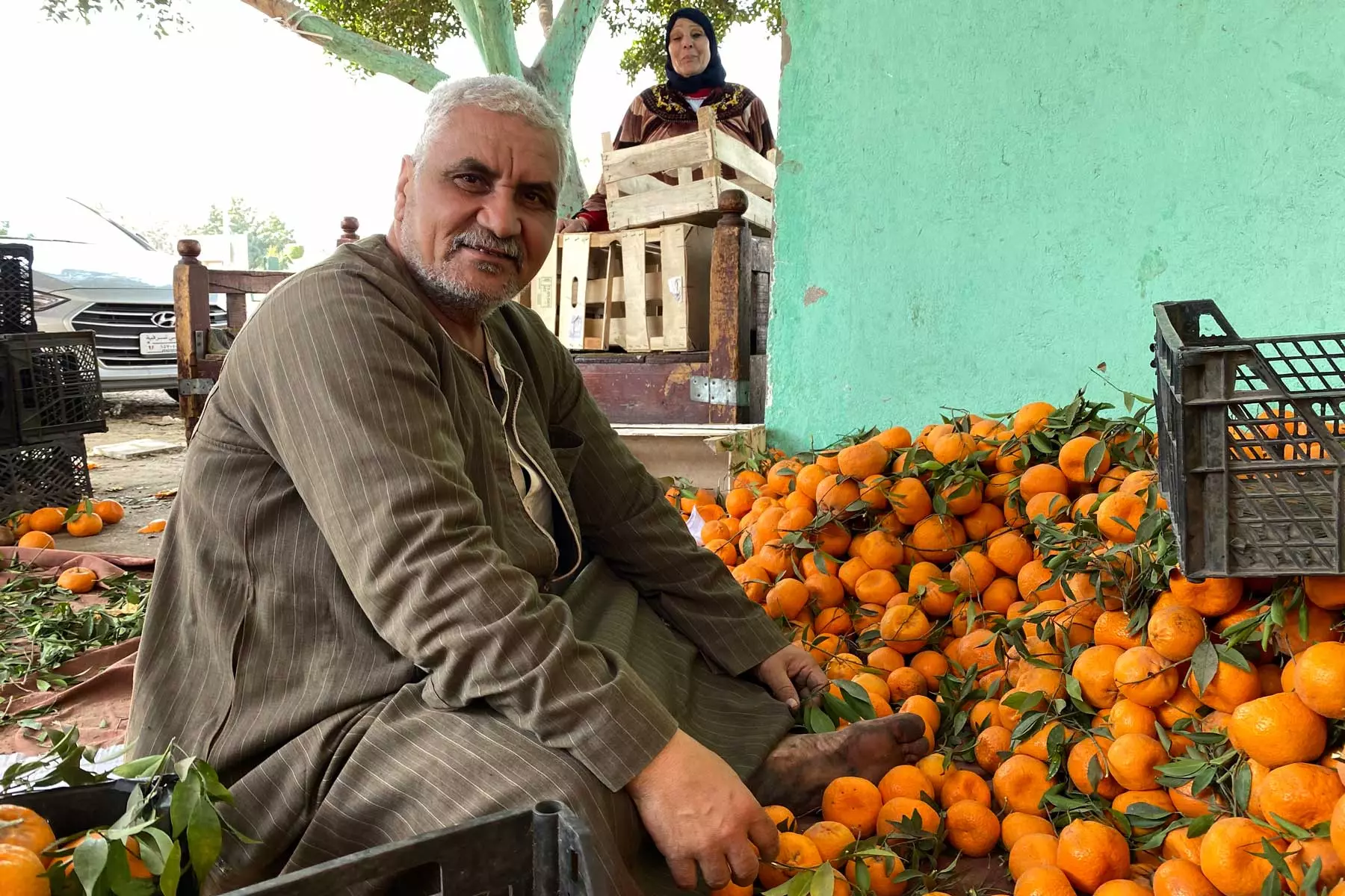 El Obour bozorida yangi mahsulotlar - Misr bo'ylab sayohat