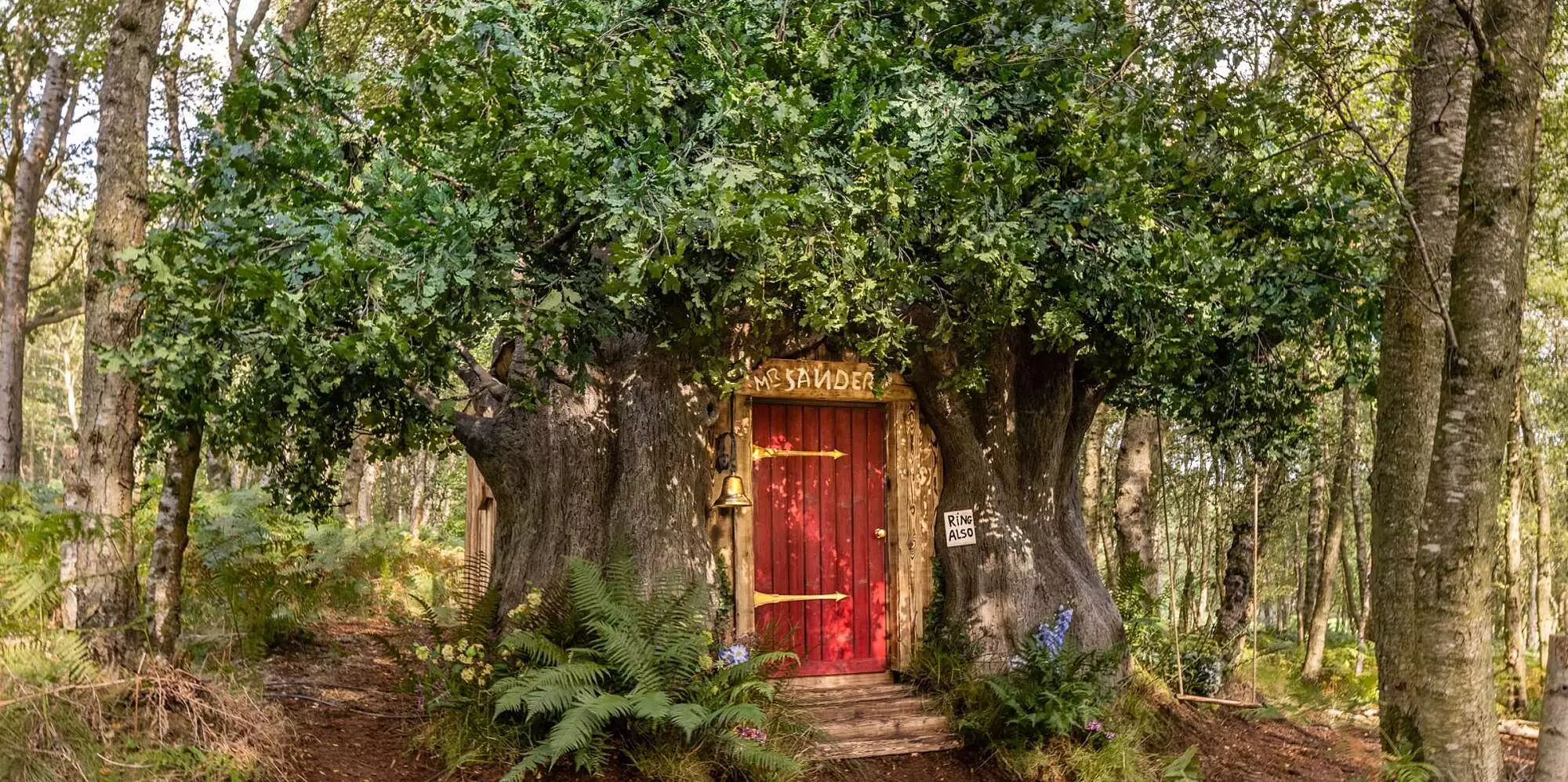 Dieses Winnie-the-Pooh-Themen-Airbnb in England sieht genau so aus, wie Sie es sich vorstellen