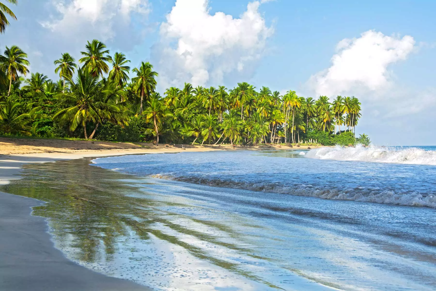 加勒比海多米尼加共和国海滩
