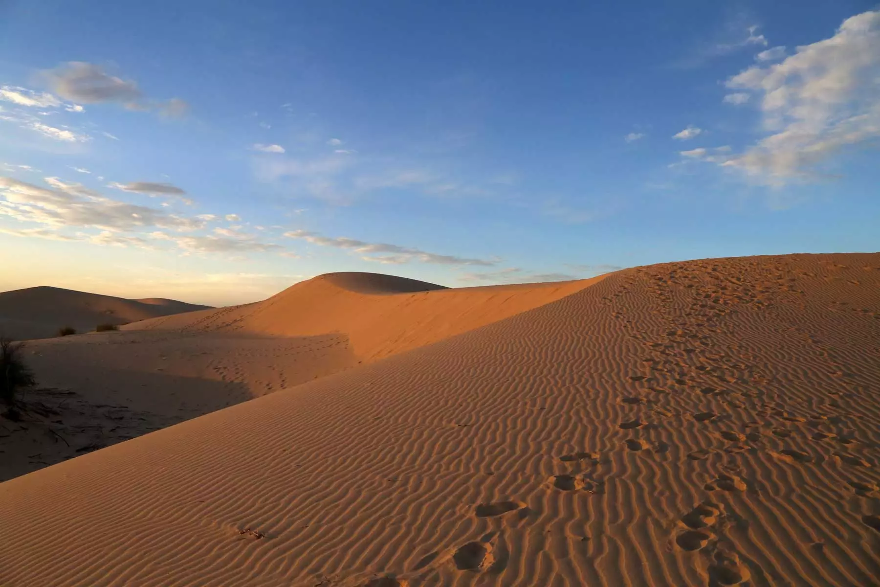 Заход сонца на пяшчаных дзюнах у дзяржаўным парку Monahans Sandhills