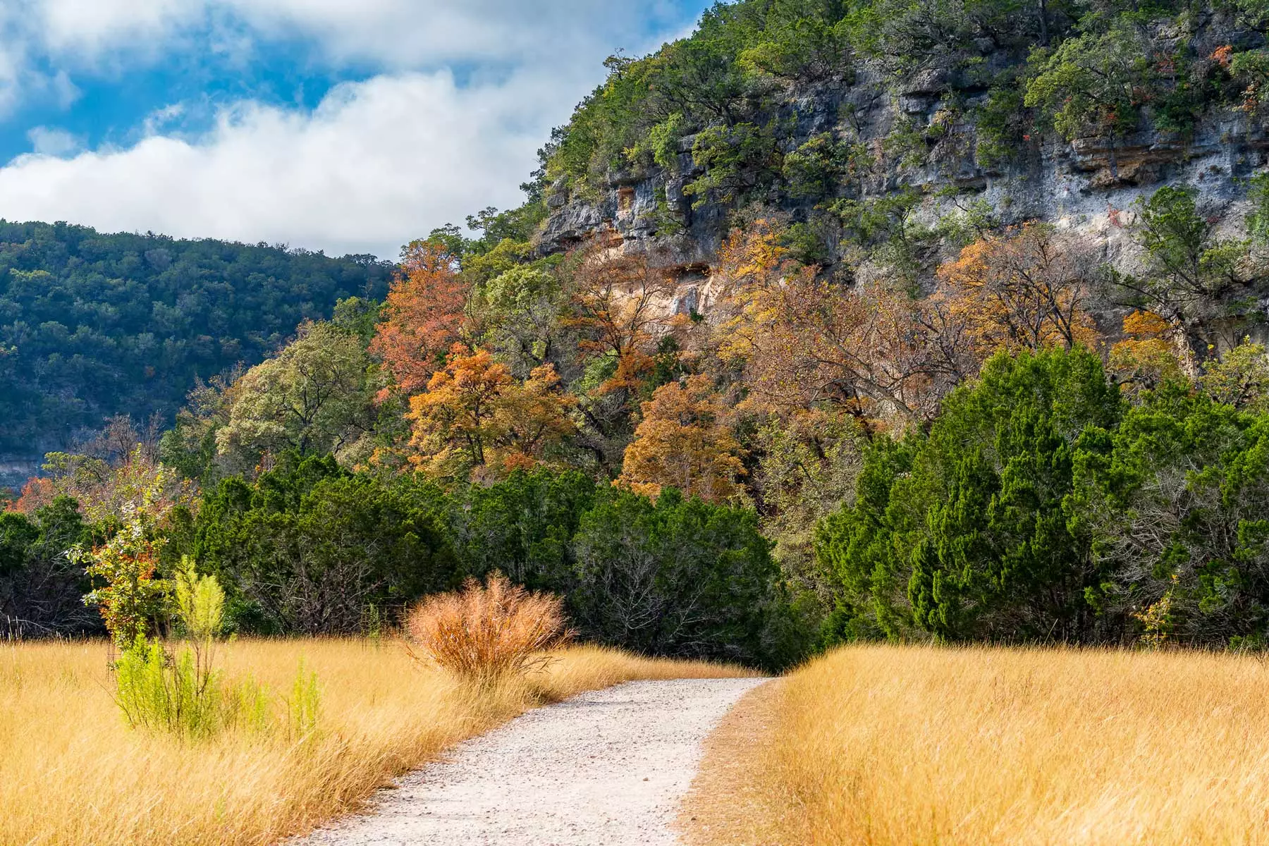 Mga kahoy sa uma batok sa langit sa panahon sa tingdagdag, Lost Maples State Natural Area sa Texas