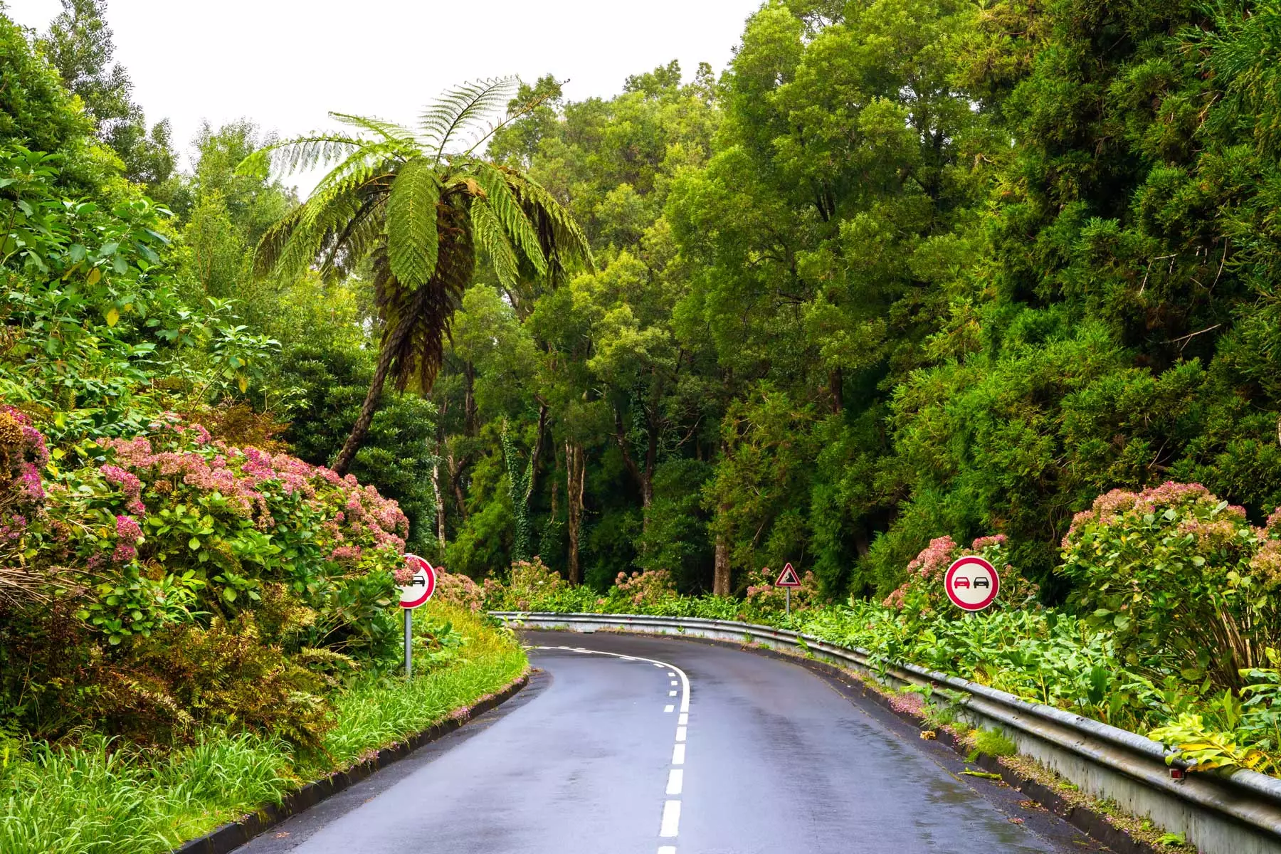Cesta na otoku Sao Miguel, Azori, Portugalska