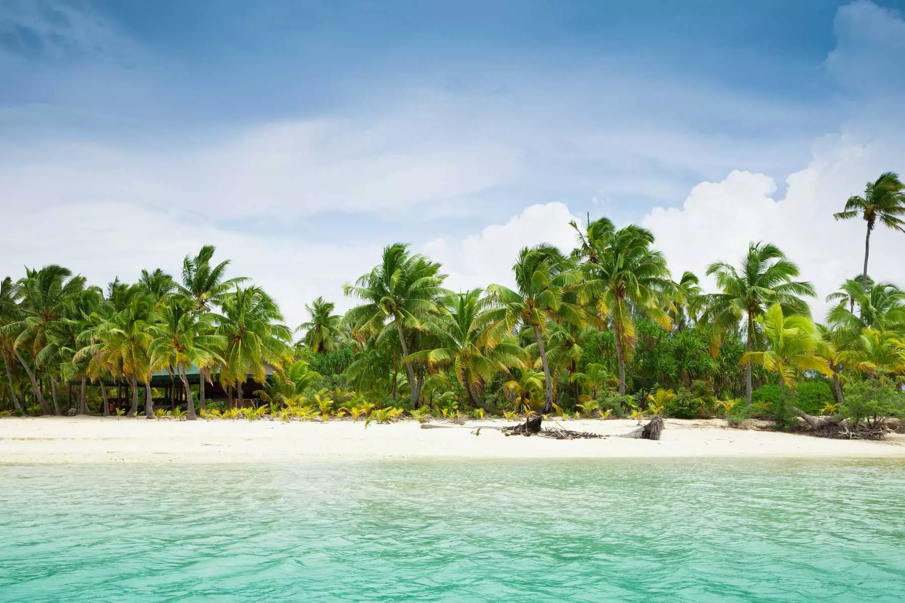 Pantai dan pokok kelapa di pulau Aitutaki, Kepulauan Cook