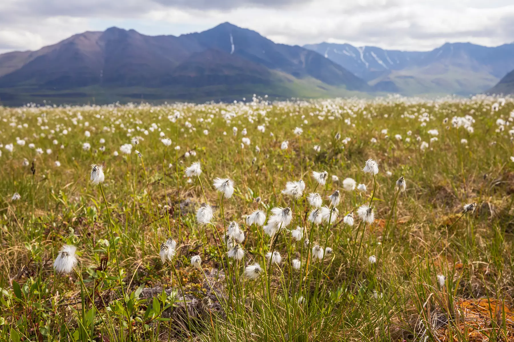 Lanskap Gerbang Taman Nasional Arktik (Alaska)