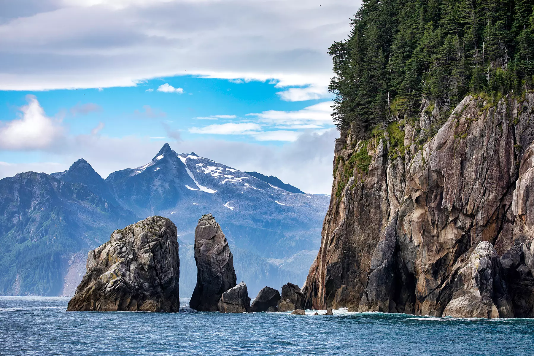 Kenai Fjords ජාතික වනෝද්‍යානයේ වෙරළ තීරයේ රළු වෙරළ තීරය.