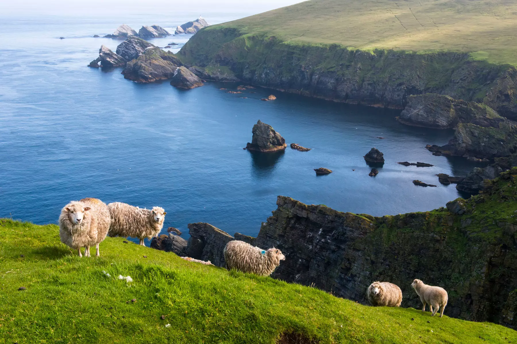 Islas Shetland, Escocia