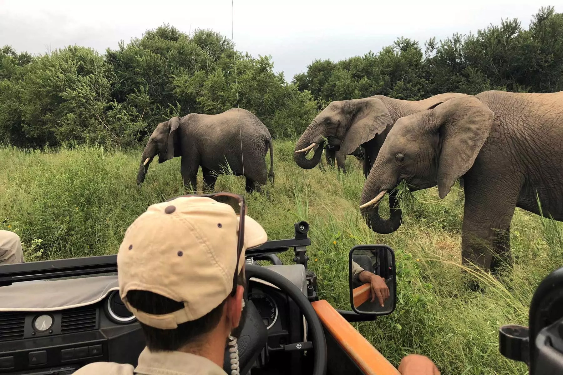Африкански авантуристички консултанти со возила им приоѓаат на слонови