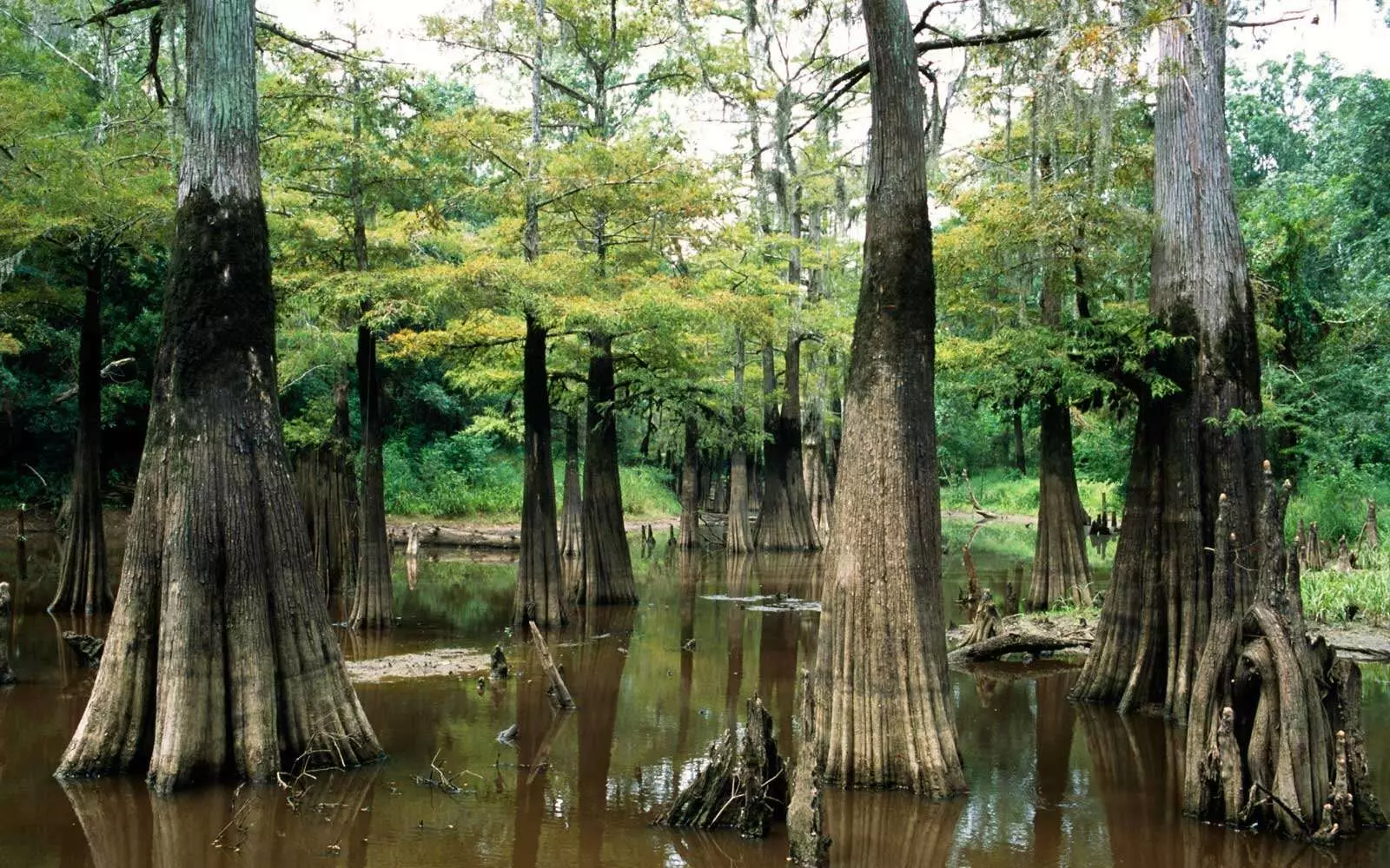 Taman Nasional pangalusna di Texas