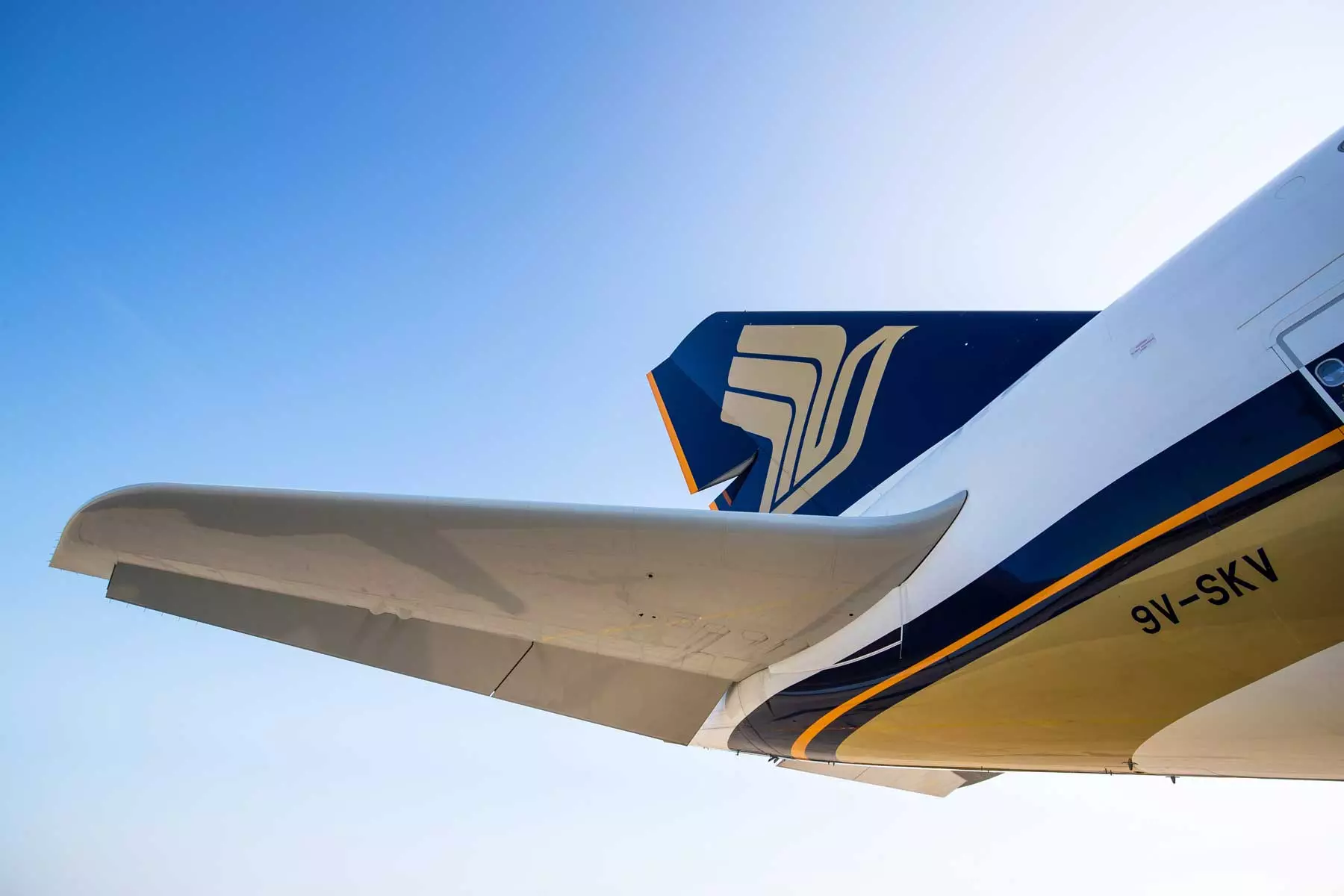 Detalle da cola dun avión de Singapore Airlines