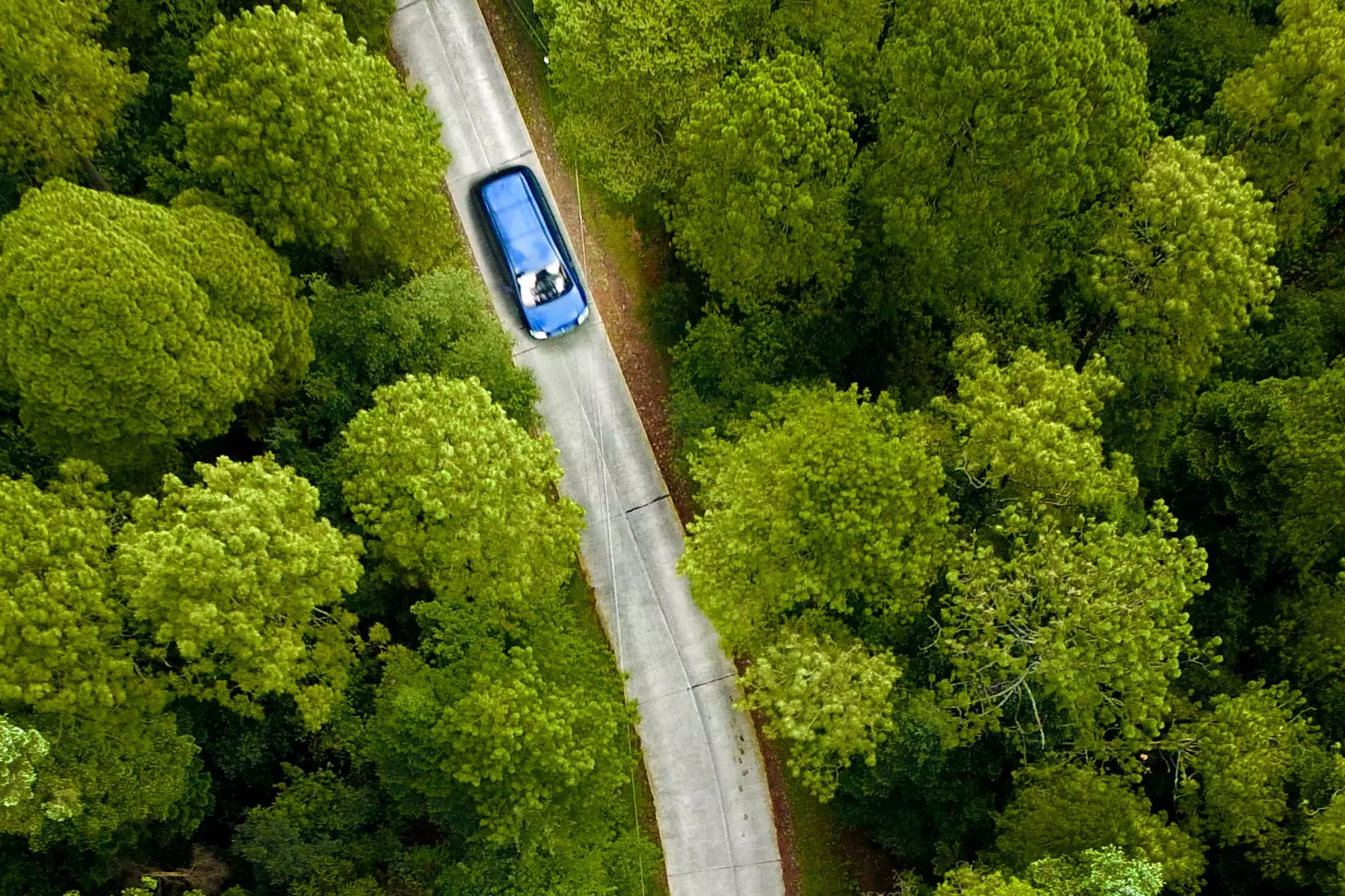 Luftbild eines blauen Autos, das durch einen Wald fährt