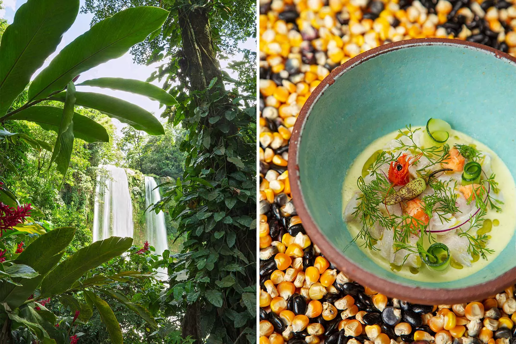 Dvije fotografije koje prikazuju vodopad u blizini Palenquea u Meksiku i jelo iz cevichea