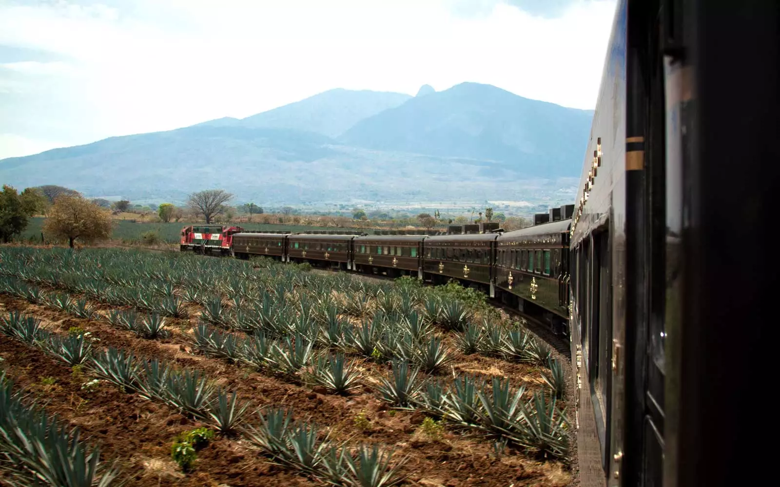 Sitima yapamtunda ya Jose Cuervo Express kupita ku Tequila, Mexico