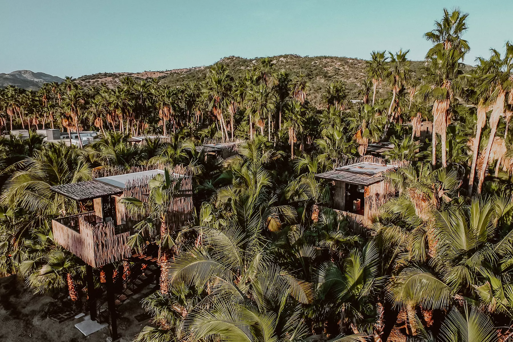Pogled iz zraka na kućice na drveću u Acre Baji
