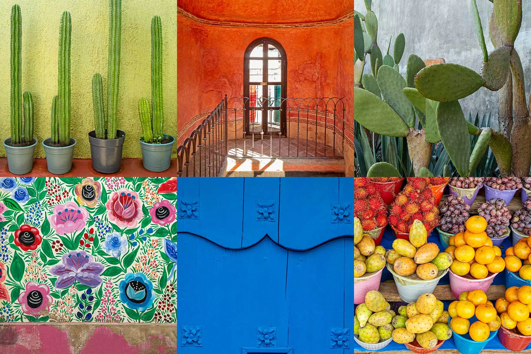 Mreža od šest slika koje prikazuju šarene detalje iz Meksika, uključujući kaktuse, murale, vrata, prozore i voće