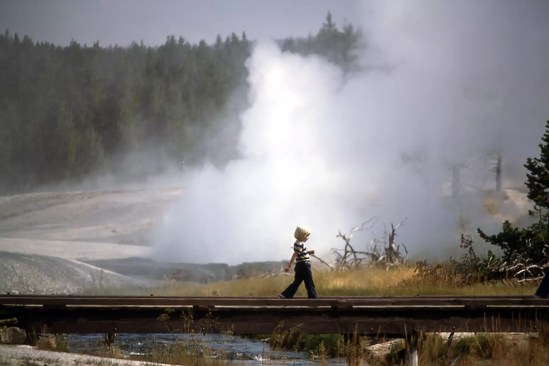 Yon timoun k ap mache bò yon Cliff Geyser; 1977