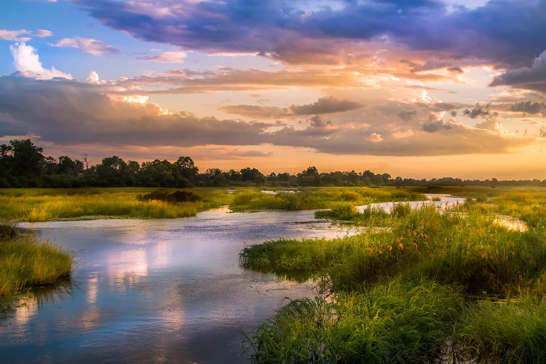 Vue panoramique sur la rivière Okavango au coucher du soleil