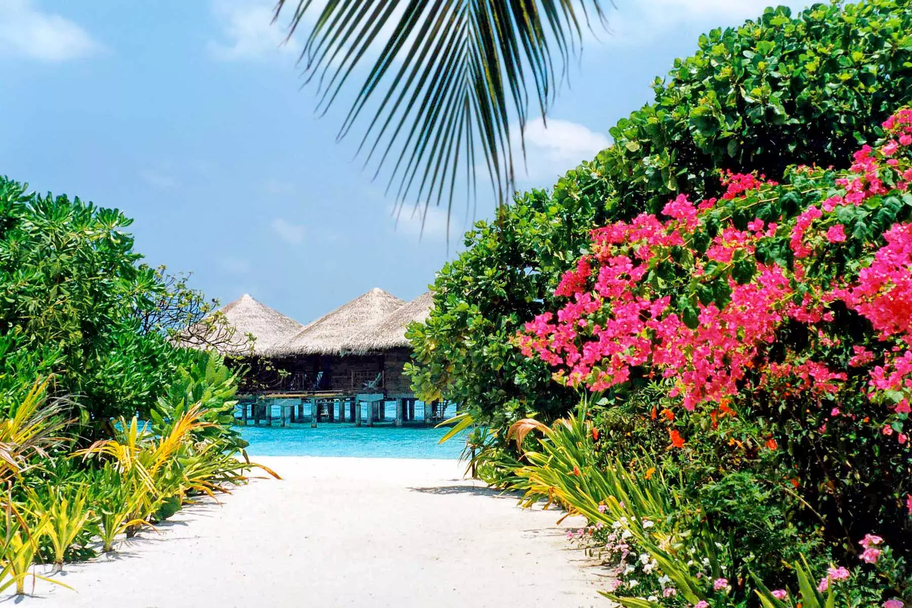 Strandpad na villa's oor die water op Baros-eiland, Maldive