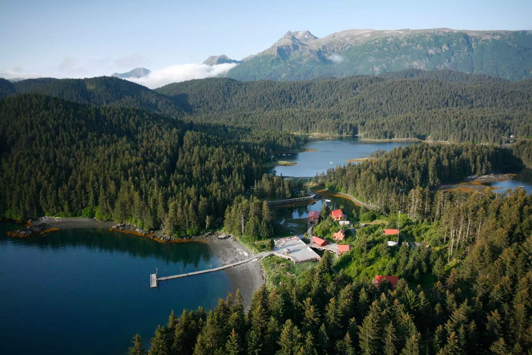 Pamje ajrore e pyllëzuar e shtëpizës së egër të Tutka Bay në Homer, Alaska