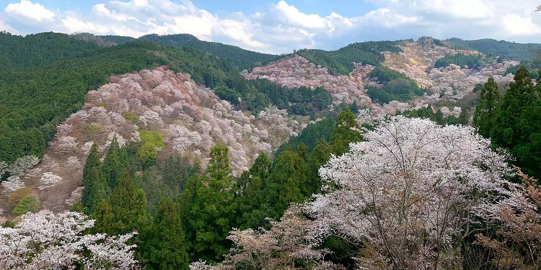 Pobl leol yn Japan yn Dal Atyniadau Mwyaf Prydferth y Wlad Heb y Torfeydd - Gweler y Lluniau