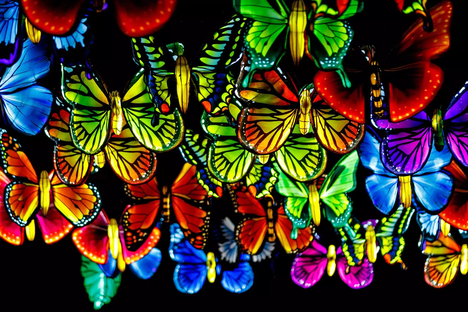 Lanternas de papel borboleta todas agrupadas brilhando na noite