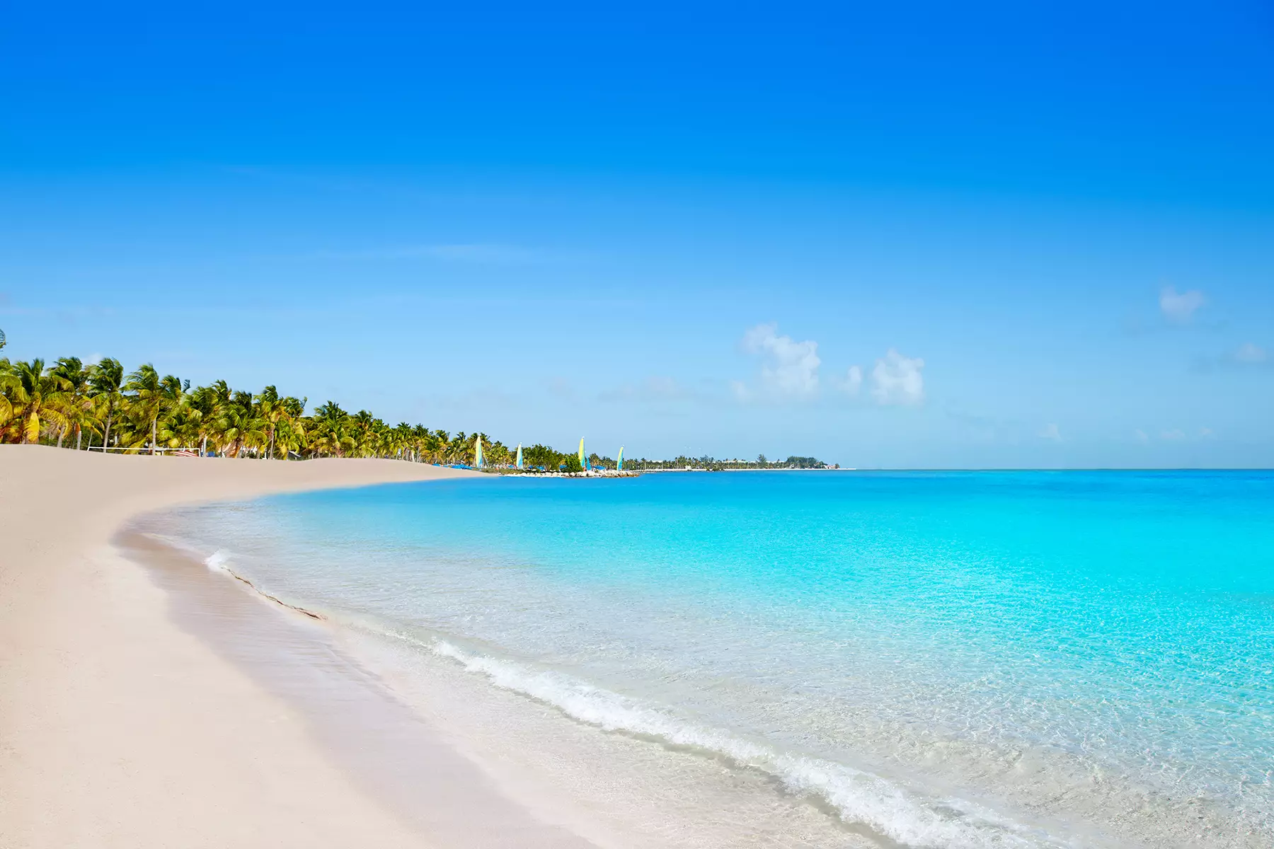 Key West Floryda Smathers plaża palmy US