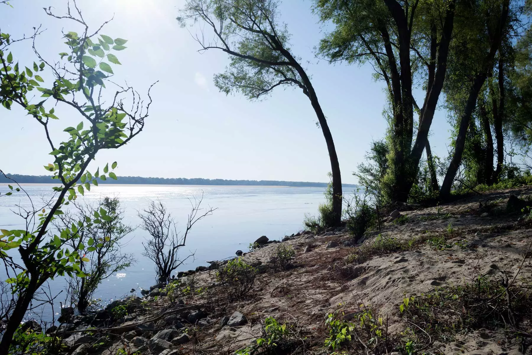 2019 m. rugsėjo 27 d. Šv. Pranciškaus nacionaliniame miške į šiaurę nuo Helenos miesto, Arkanzaso valstijoje, Misisipės upė teka pro vieną iš retų vietovių, kur upės pakrantė išliko natūralioje, laukinėje būsenoje.