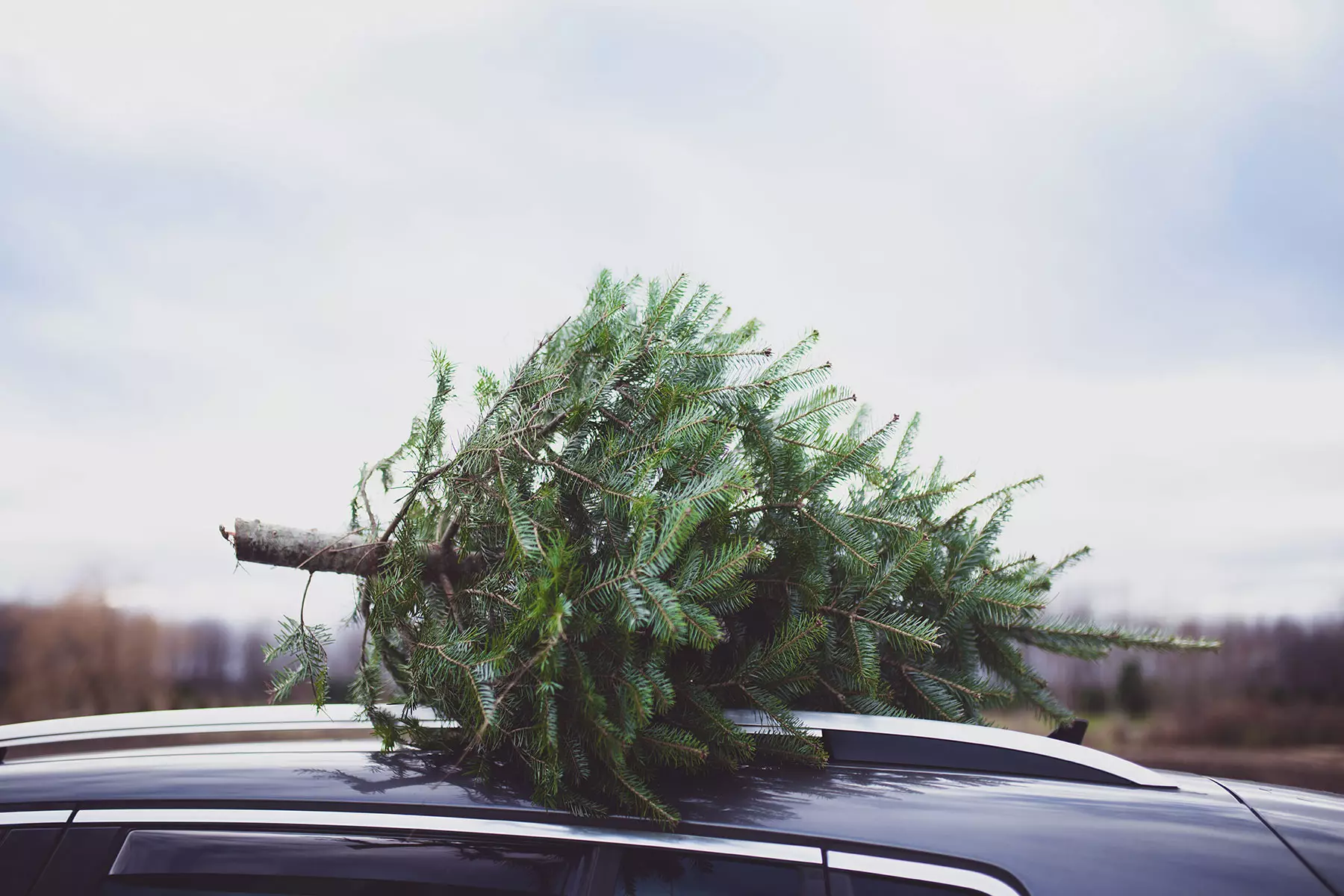 Pokok Krismas kecil di atas kereta