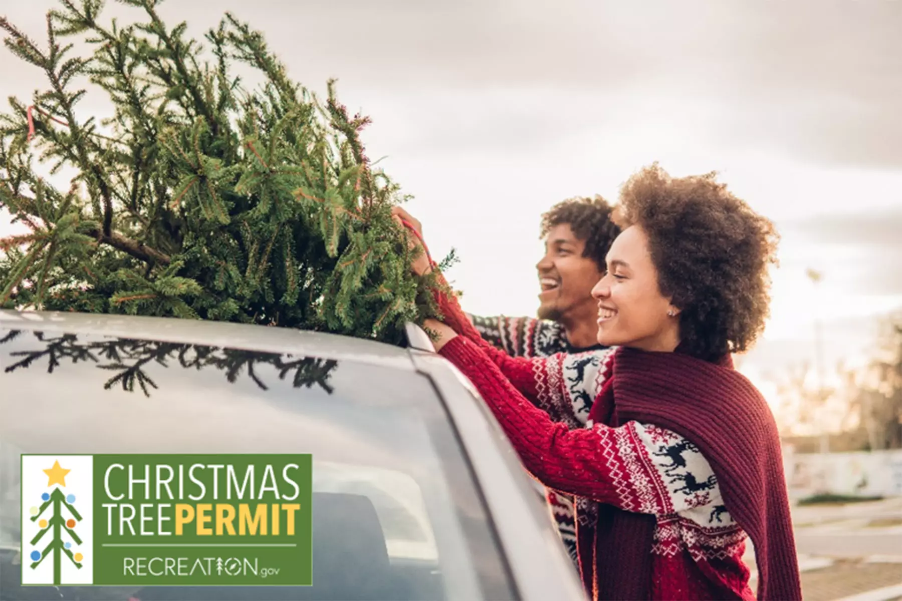 Sepasang suami isteri meletakkan pokok di atas bumbung mereka dengan Recreation.gov Permit Pokok Krismas