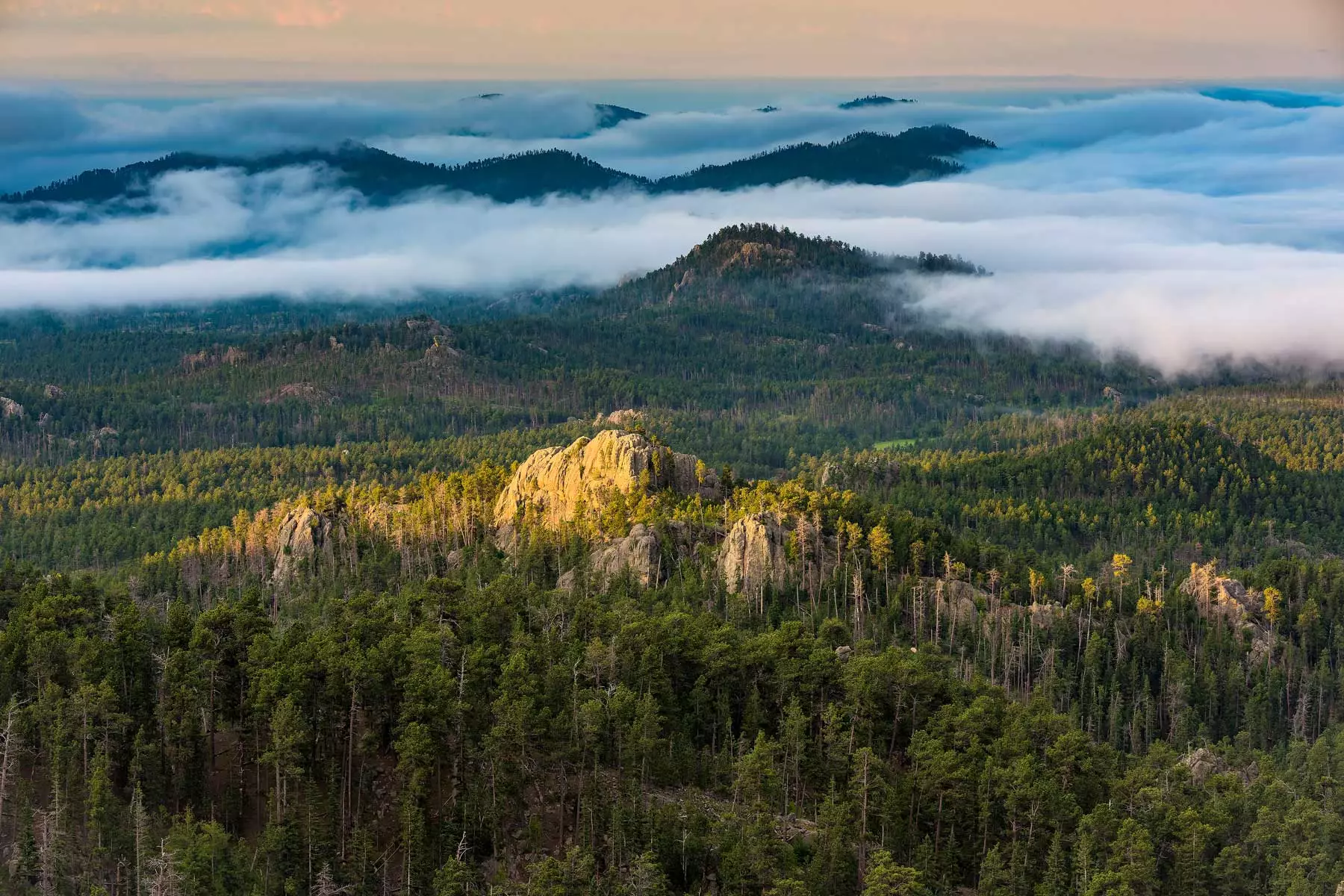 Landskap yang penuh dengan pokok di puncak gunung