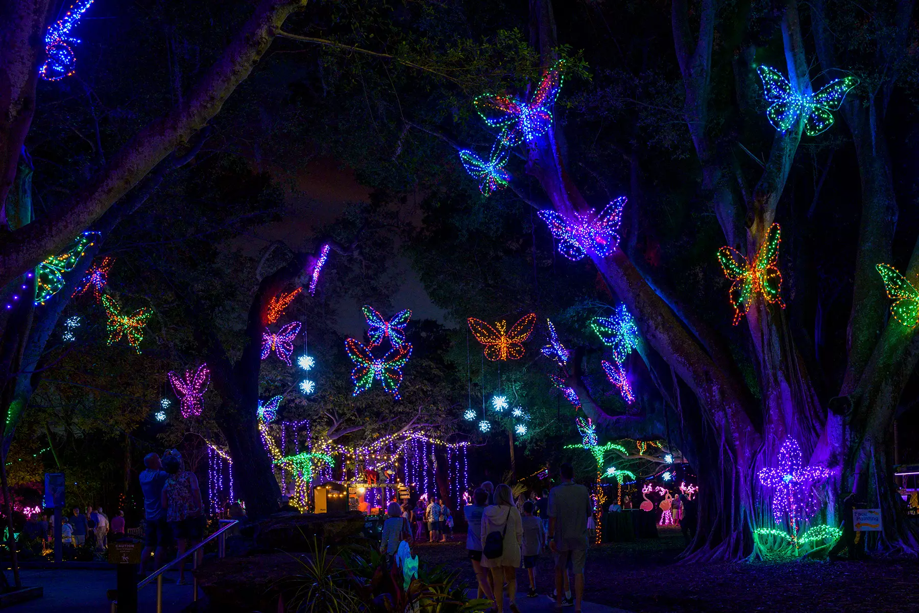 Vlinders van Lights in Bloom in de Marie Selby Botanical Gardens