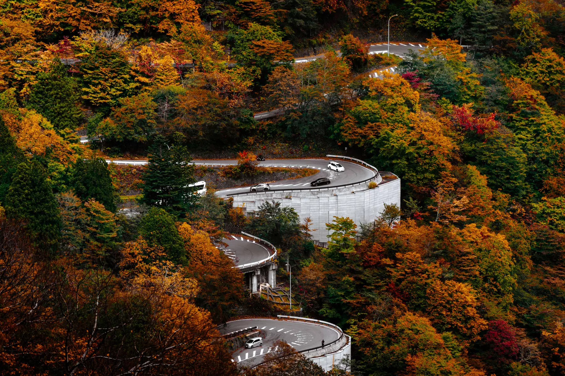 bilar kör på en väg i Nikko National Park