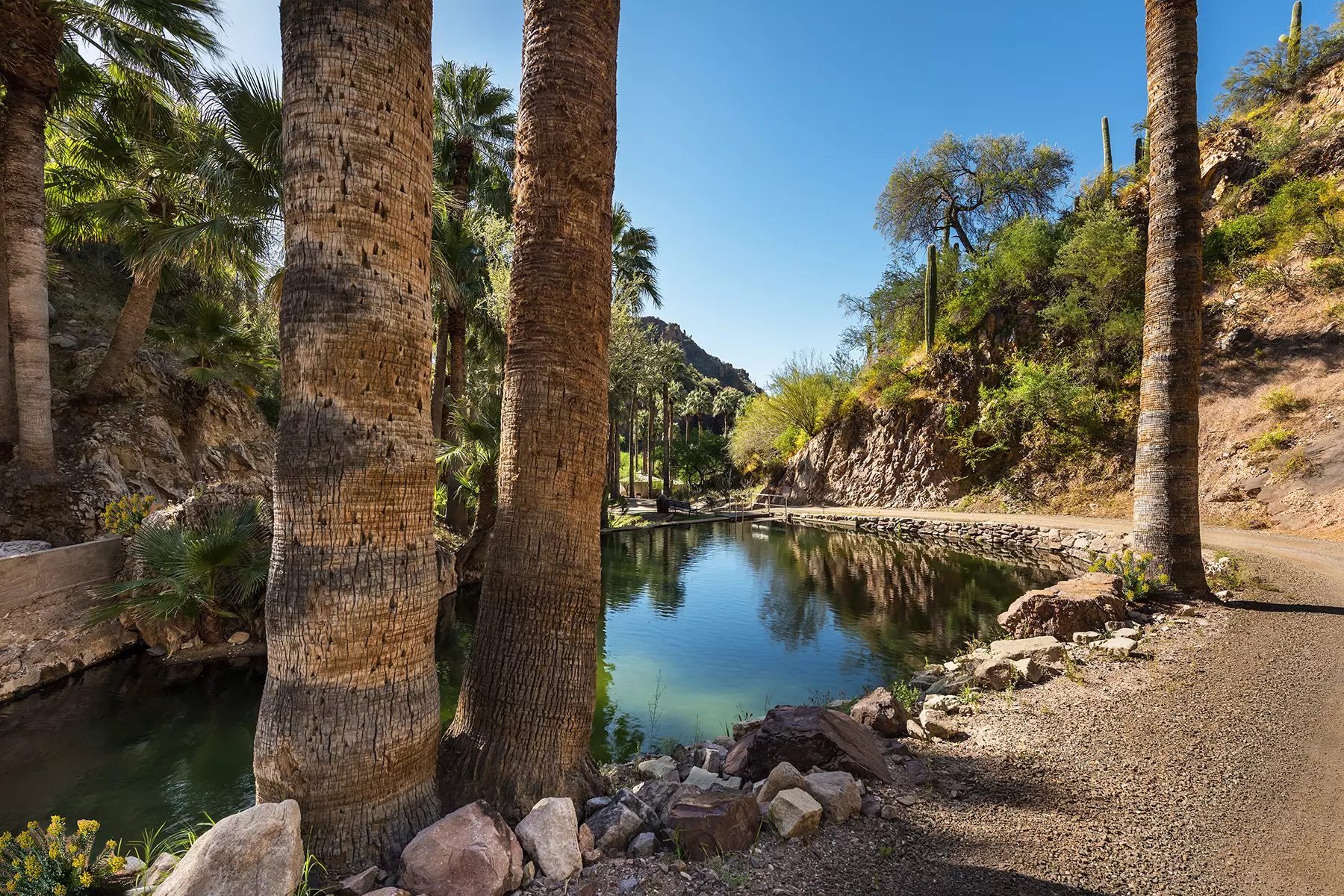 Piscina de aguas termales en Castle Hot Springs