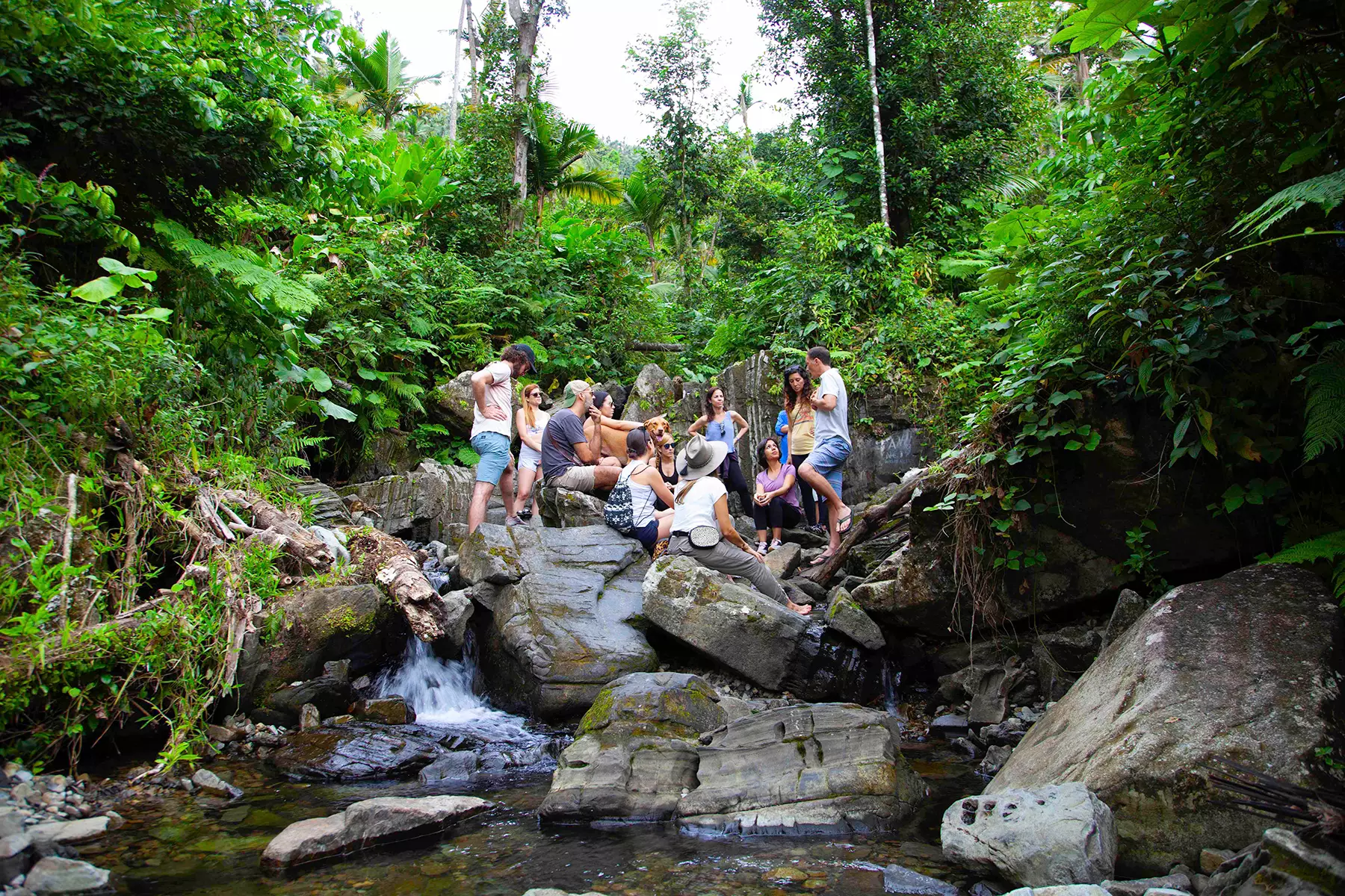 Retiro de Teambuilding en la Selva Tropical con Casa Alternavida