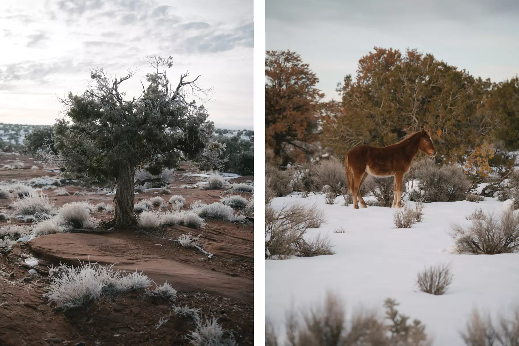 Vida navajo no inverno no Canyon de Chelly