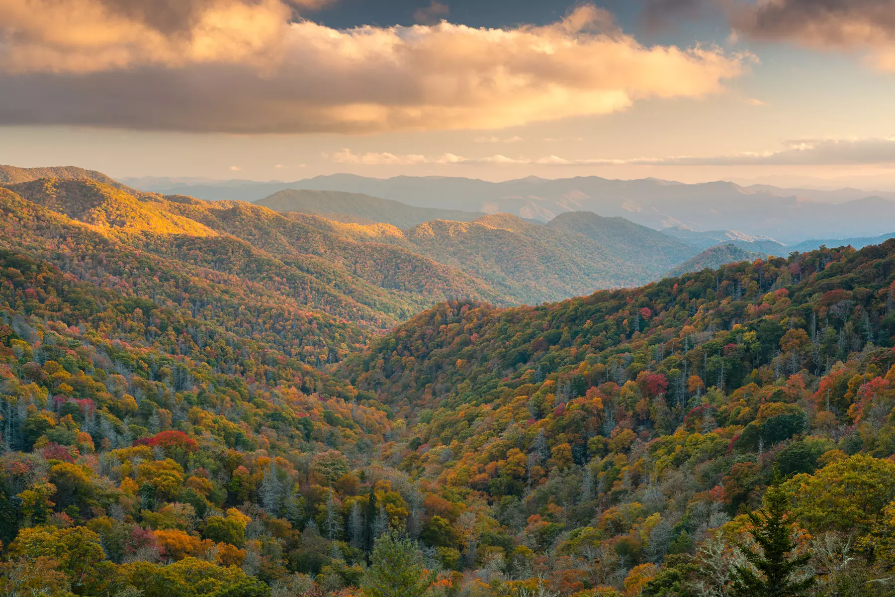 Great Smoky Mountains National Park, Tennessee, Etazonia ao amin'ny Newfound Pass