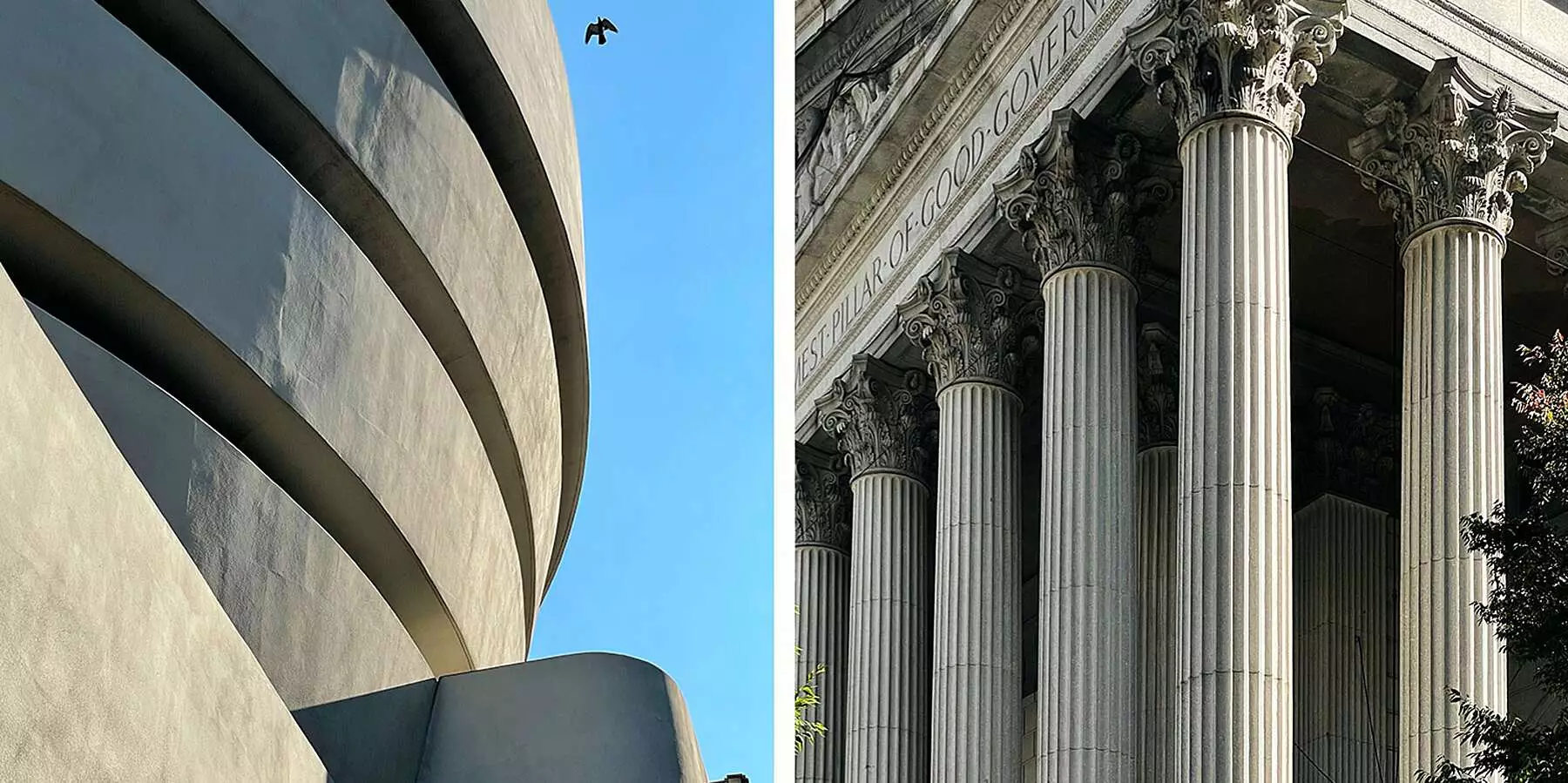 Come scattare la foto perfetta di iPhone 12 Pro, secondo un fotografo professionista