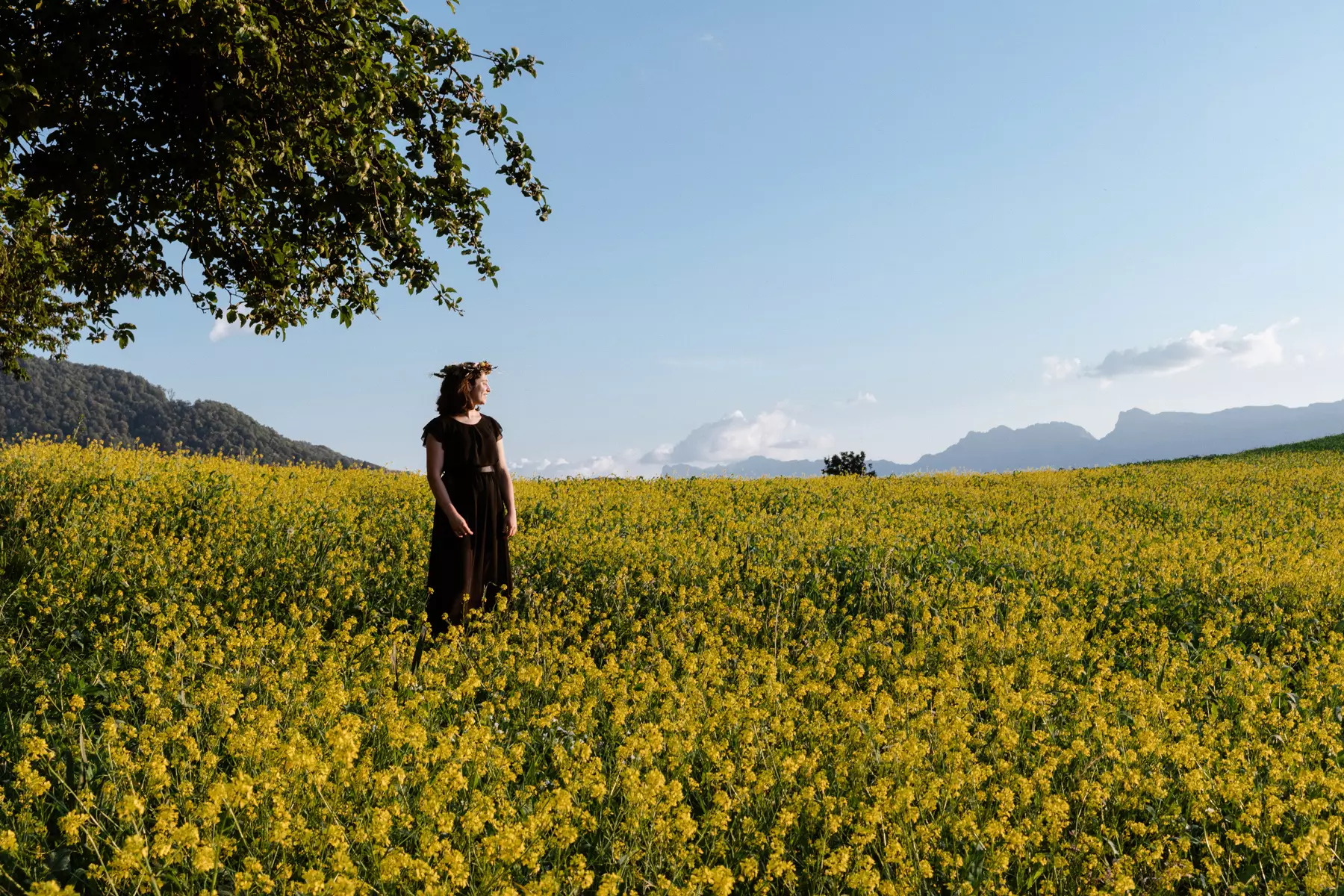 mujer en un campo de flores doradas