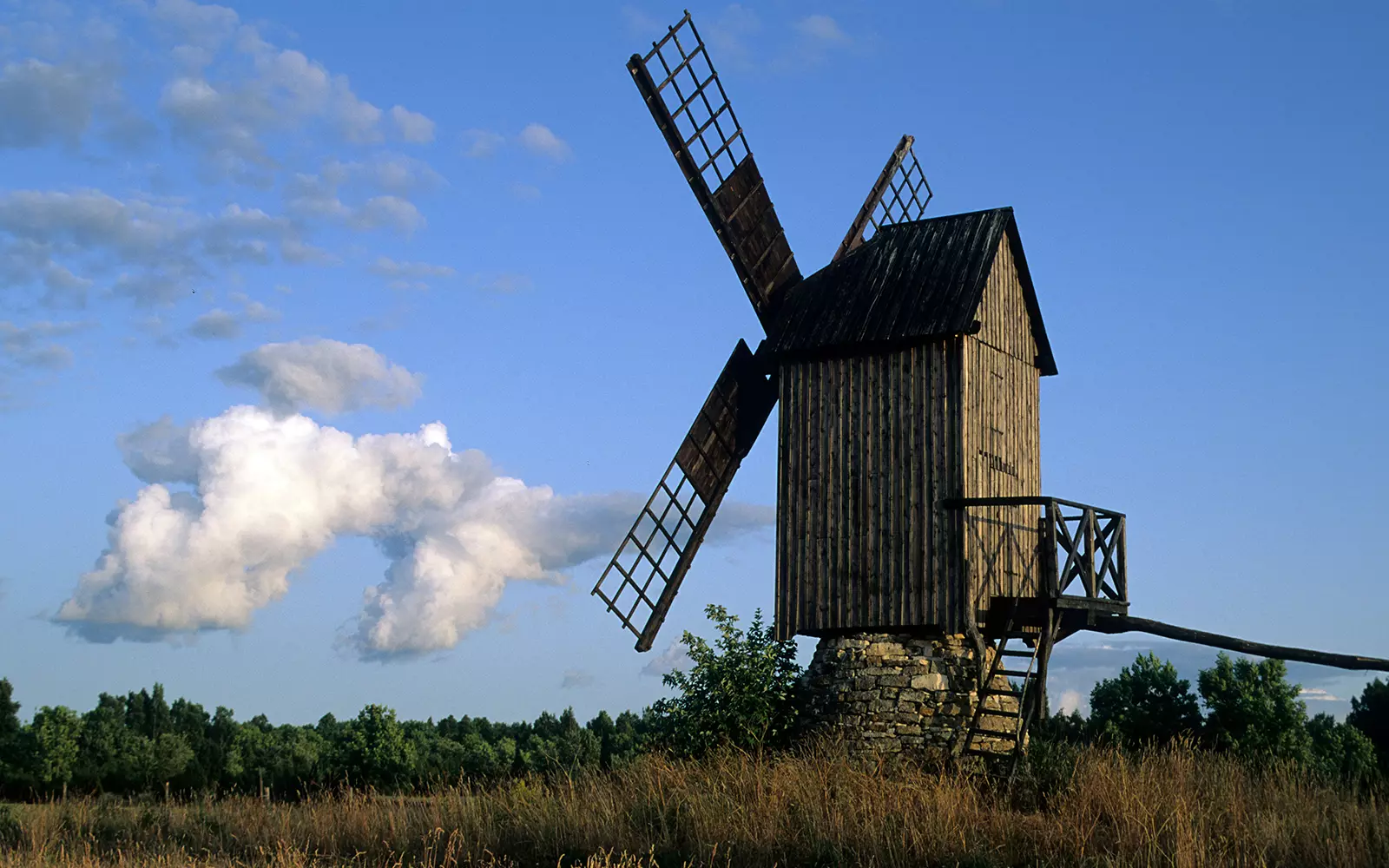 Igwe ikuku osisi na Koguva, Estonia