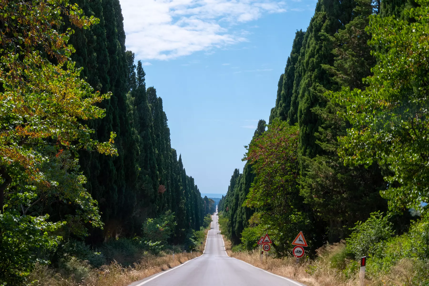 Đường đến Bolgheri - Bolgheri, Ý