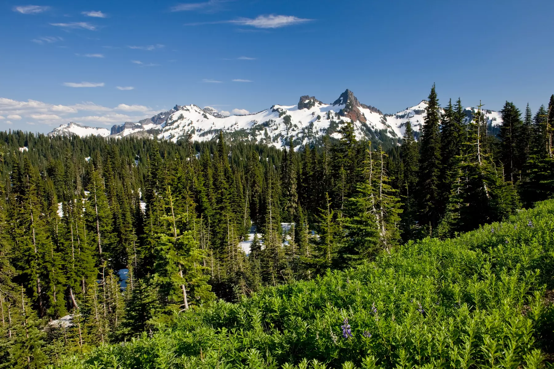 Mazama Ridge E latalata i Parataiso Mauga Rainier