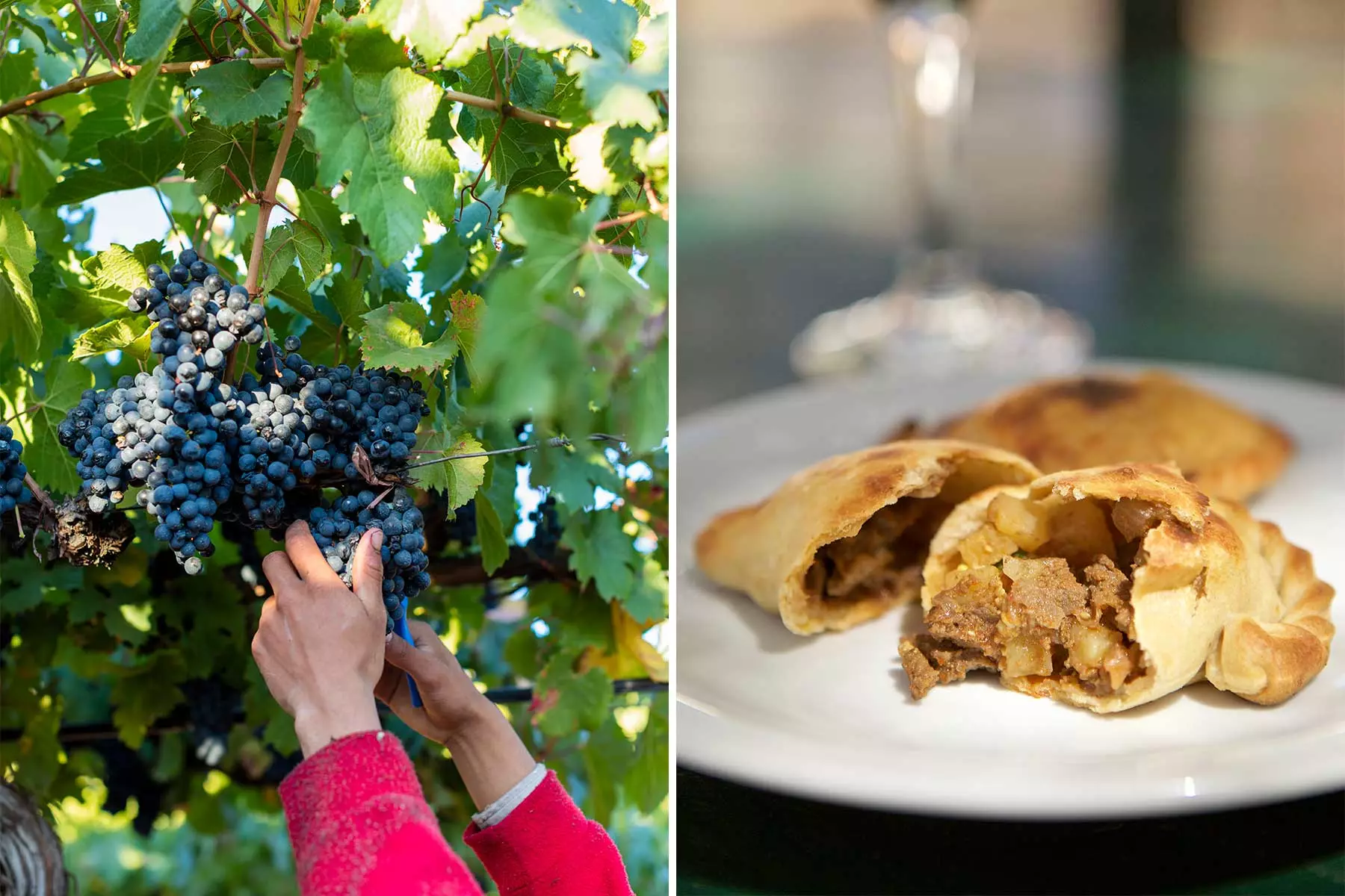 Àjàrà ati empanadas ni Salta, Argentina