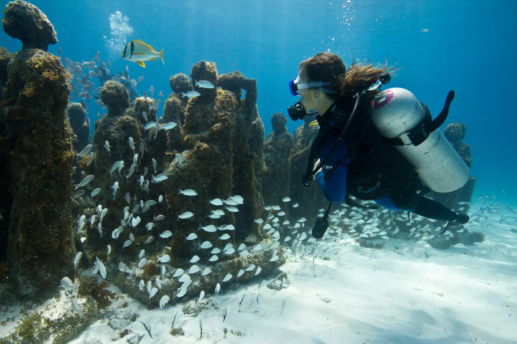 Женщина ныряет с аквалангом вокруг статуй и рыб