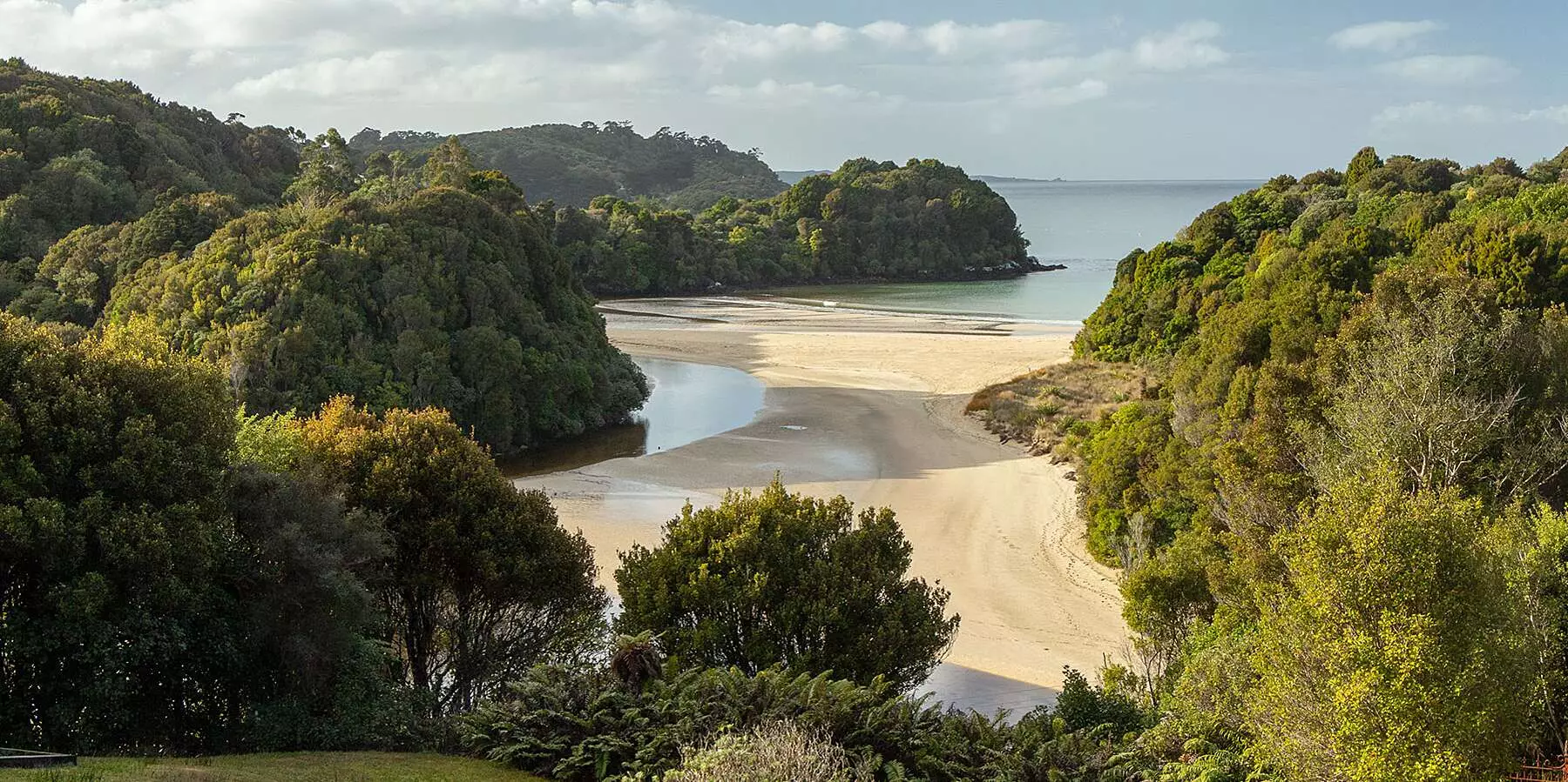 Stewart Island heeft eeuwenoude regenwouden, zeldzame dieren in het wild en adembenemende uitzichten op het zuiderlicht